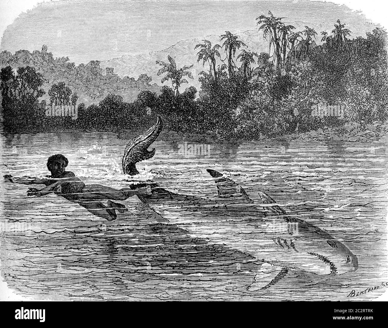 Kick a shark, vintage engraved illustration. Le Tour du Monde, Travel ...