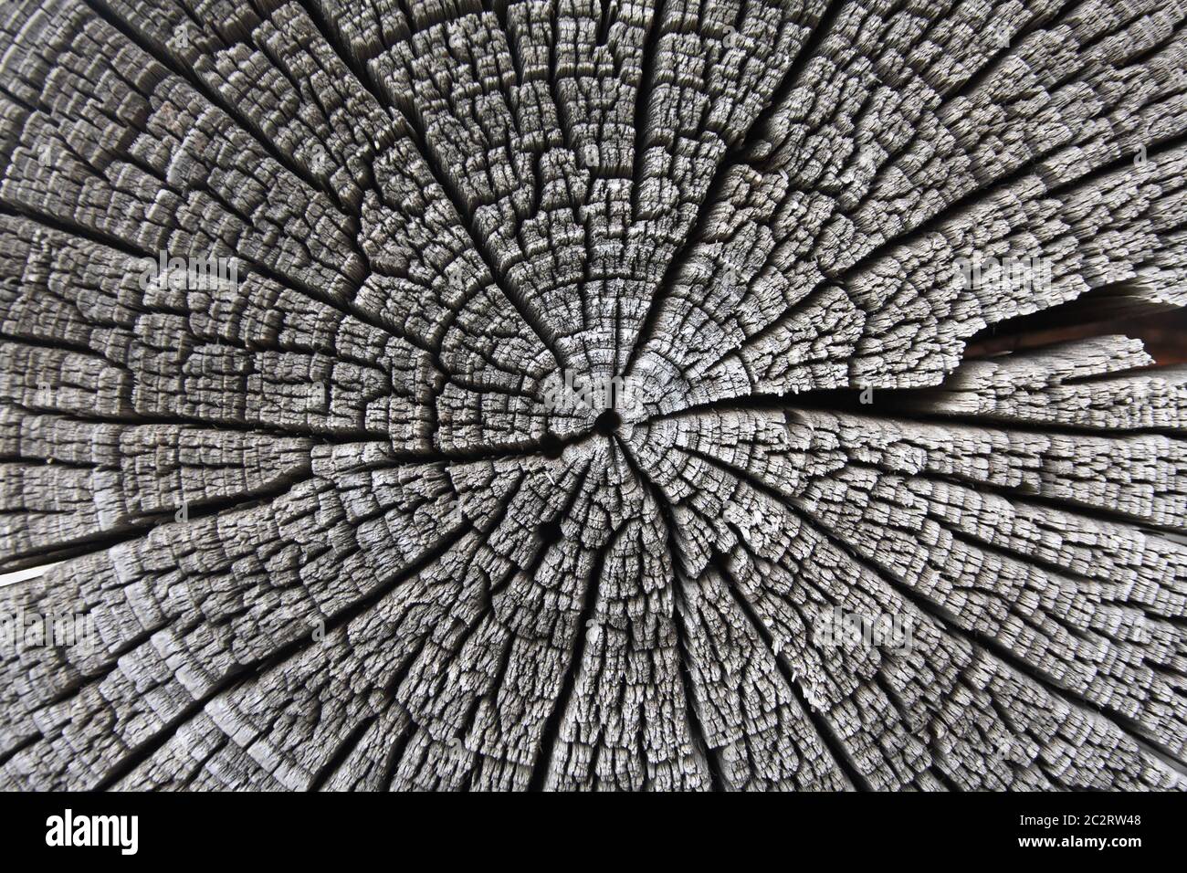 Natural texture old timber hi-res stock photography and images - Alamy