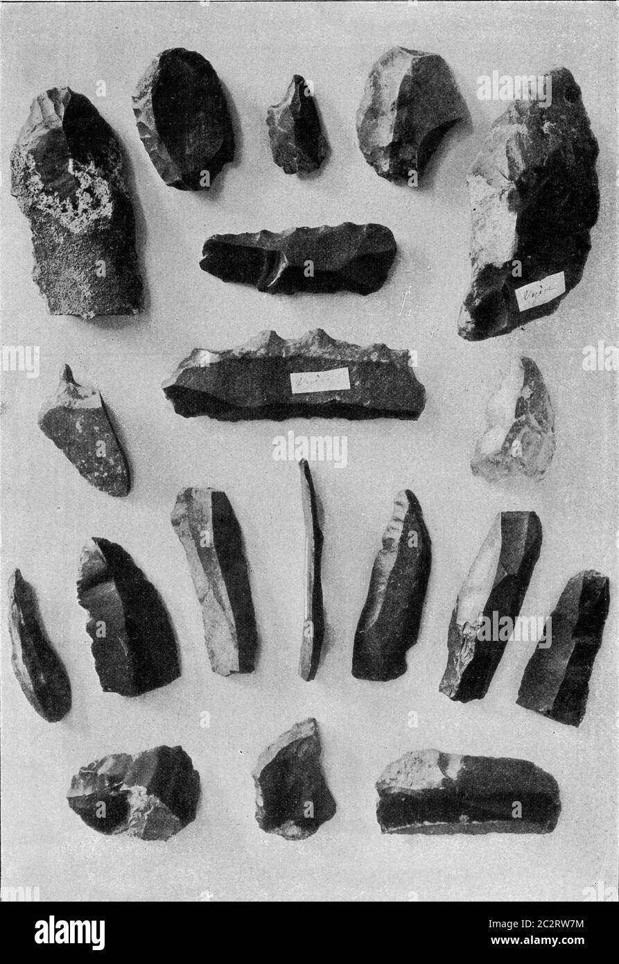 Flint instruments from the layers of the posterior diluvium of the ...