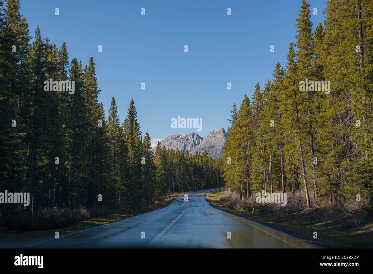 Empty road mountains trees hi-res stock photography and images - Alamy