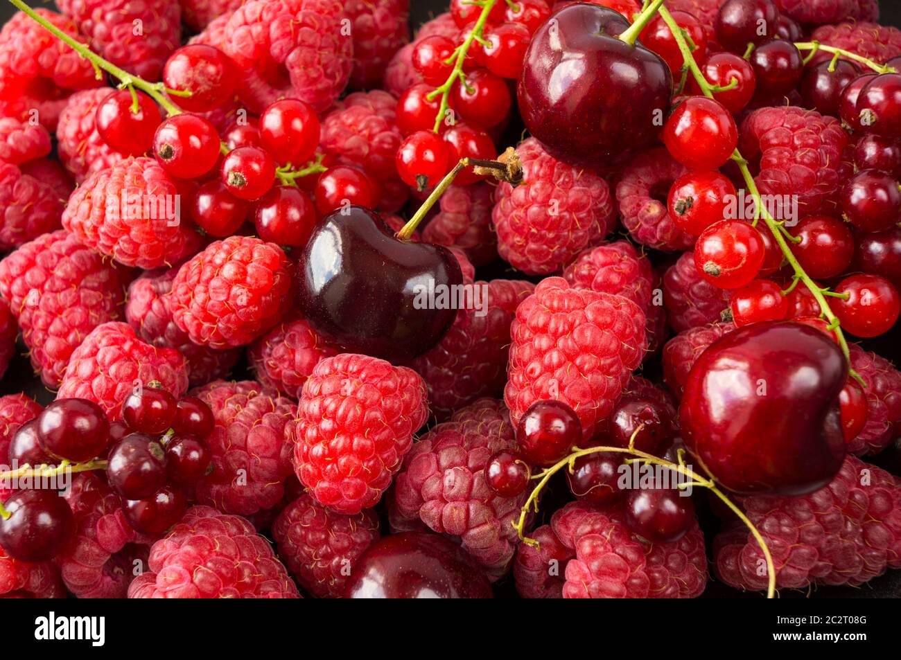 Background of raspberries, red currants and cherries. Fresh berries ...