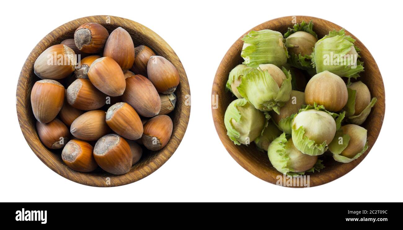 Fresh hazelnuts isolated on white background. Hazelnuts in a bowl with ...