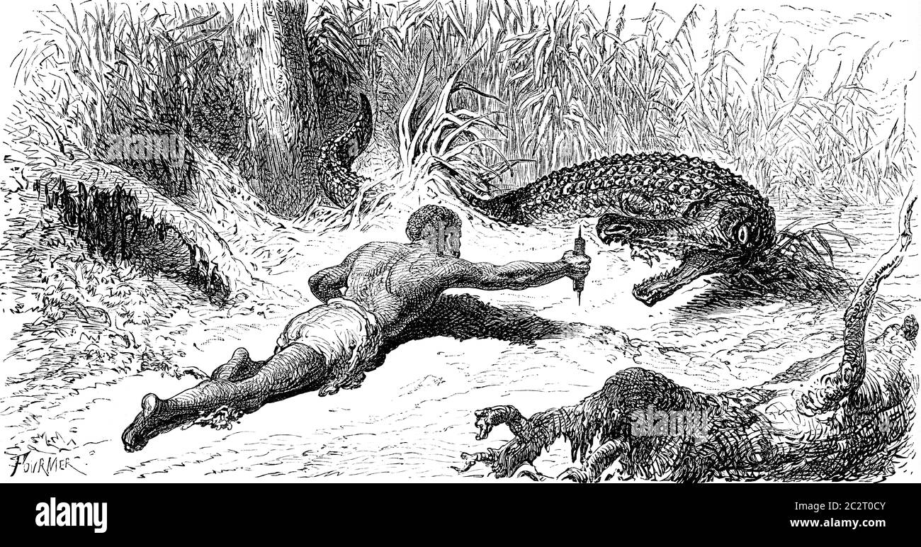 Hunting alligators, vintage engraved illustration. Le Tour du Monde ...