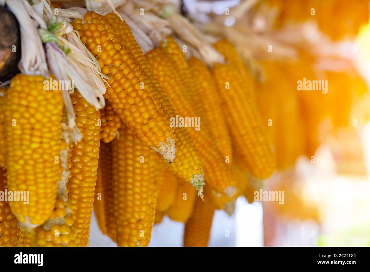 Drying in open hi-res stock photography and images - Alamy