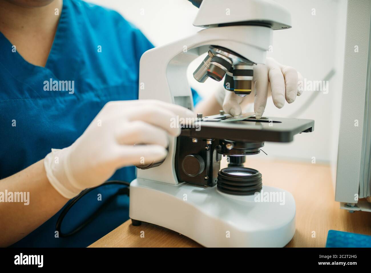 Veterinarian looks through a microscope at the samples of animal tests ...