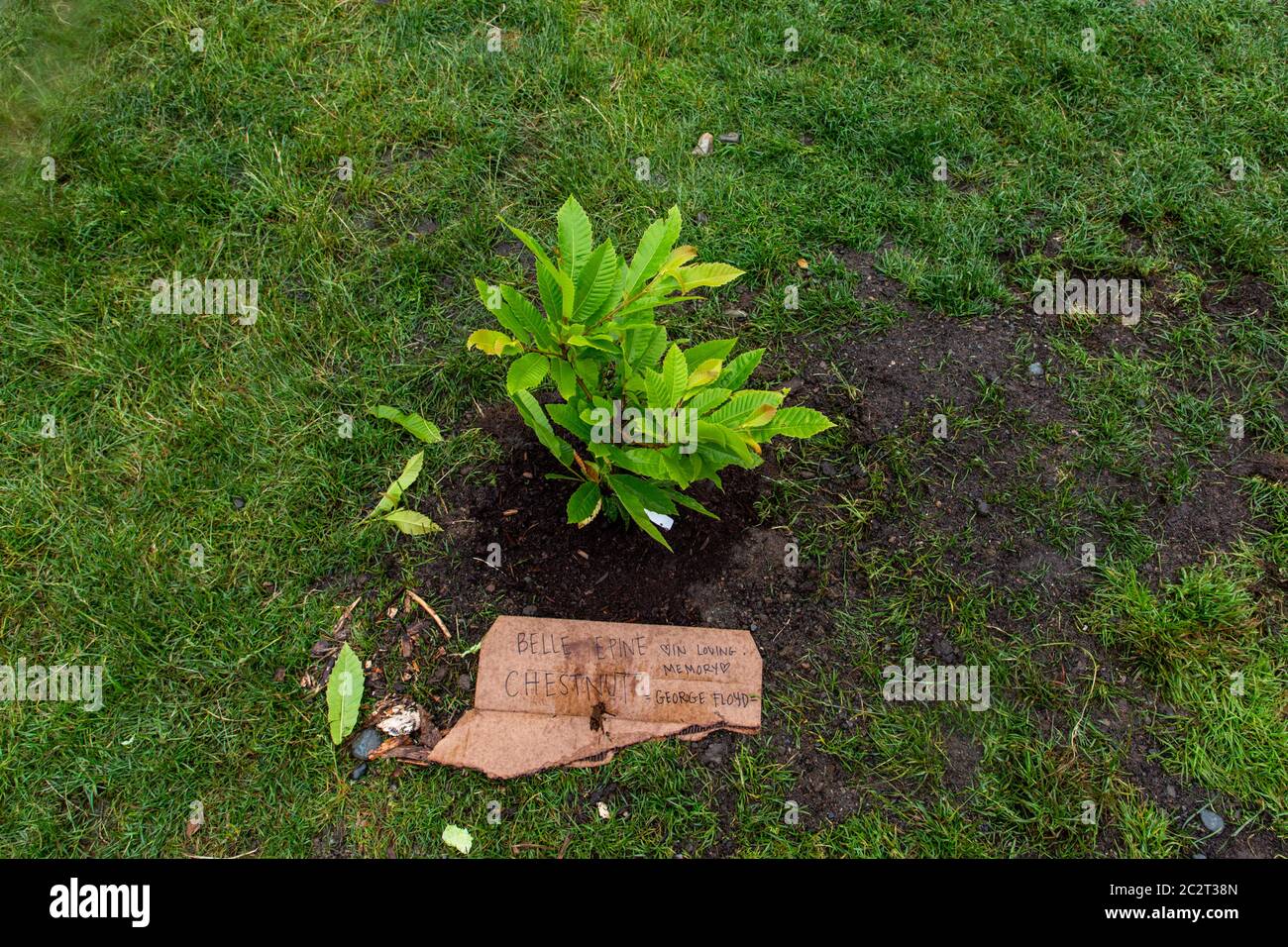 The Capitol Hill Autonomous Zone (CHAZ) or the Capitol Hill Occupied ...