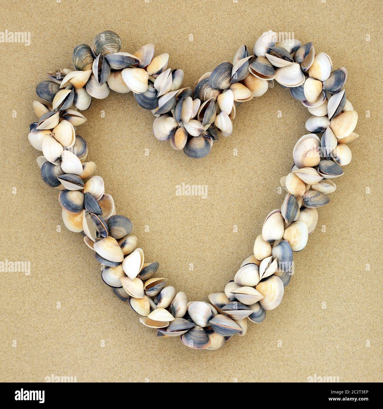 Heart shaped clam shell wreath on sand background. Romantic symbol and ...