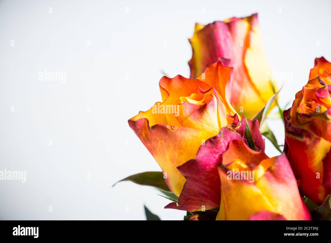 Ember like hi-res stock photography and images - Alamy