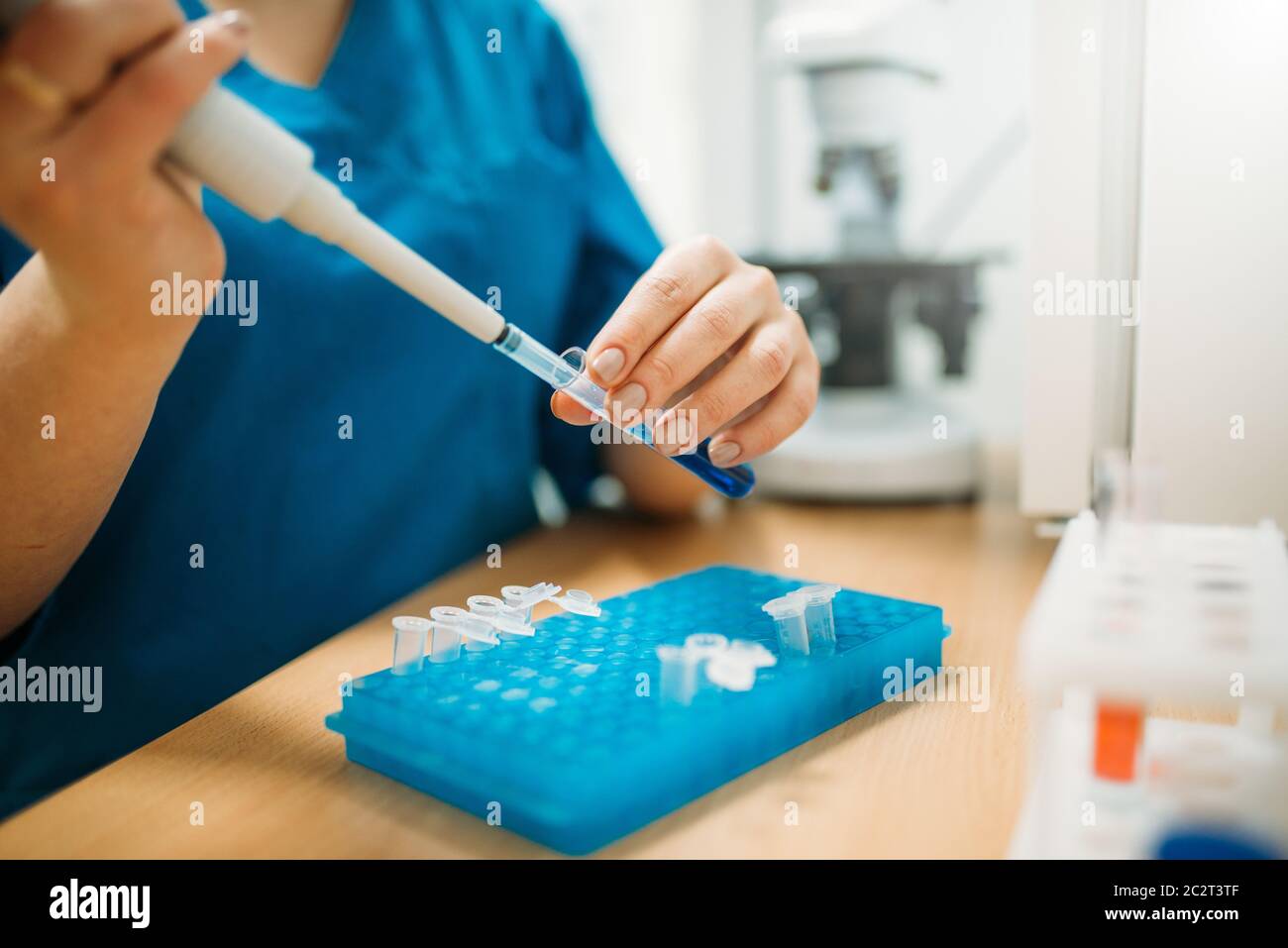 Samples of animal tests in the veterinary clinic. Working with analyzes ...