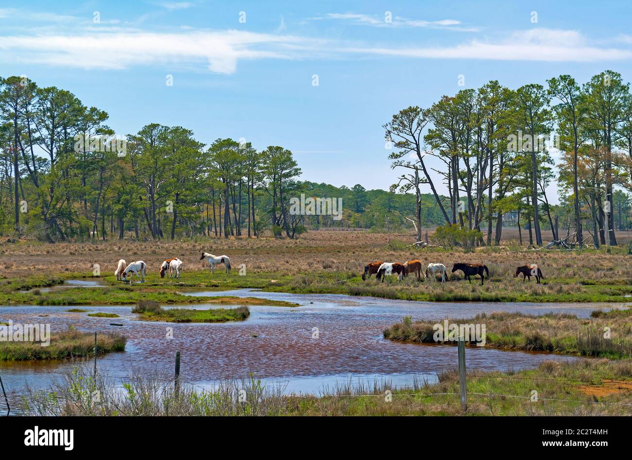 Delmarva peninsula hi-res stock photography and images - Alamy
