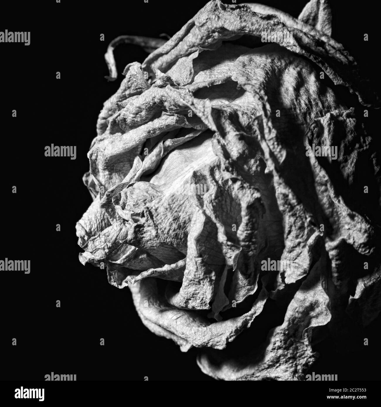 Symbol of death hi-res stock photography and images - Alamy