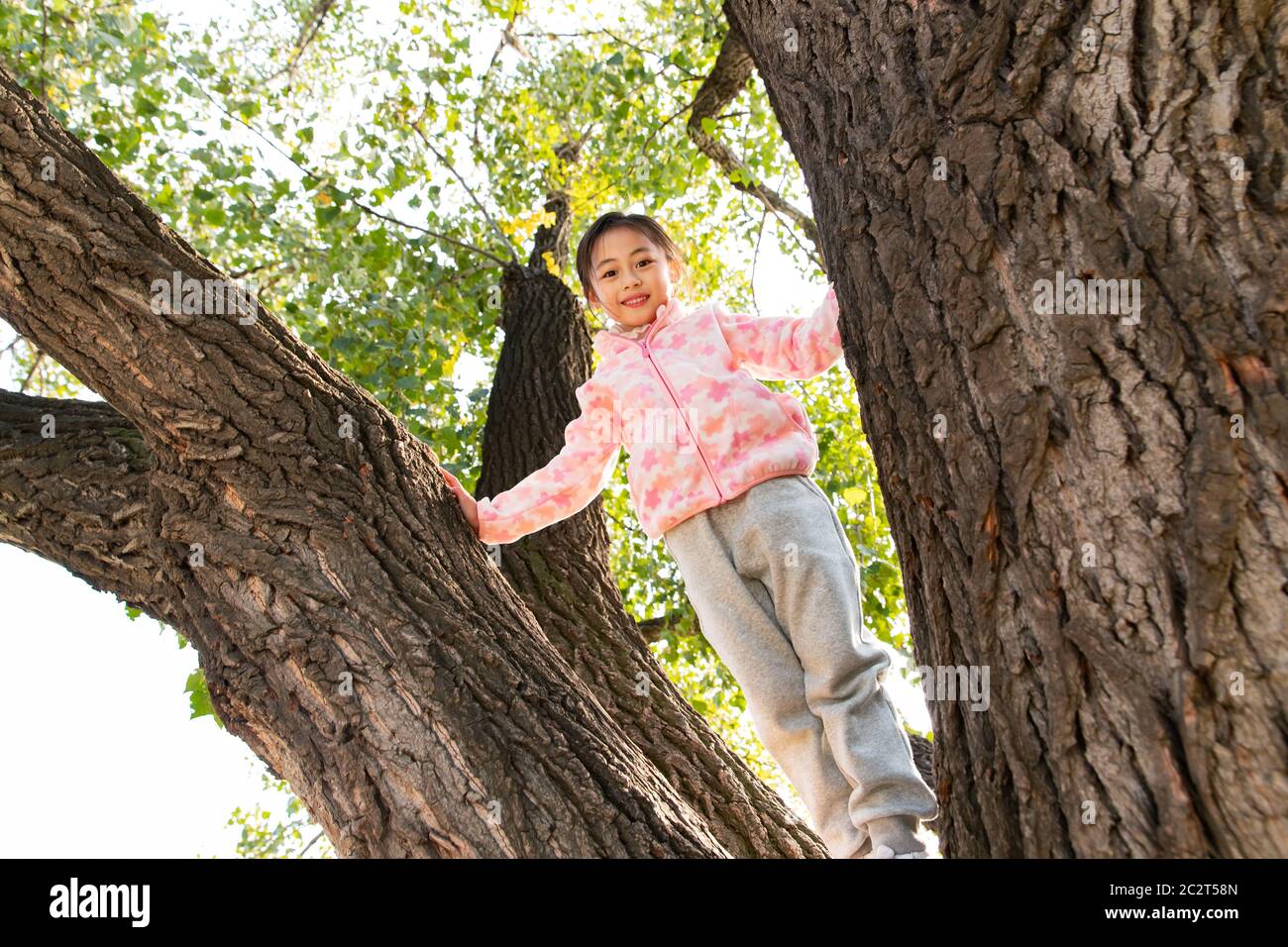 Happy girl standing on the tree Stock Photo - Alamy
