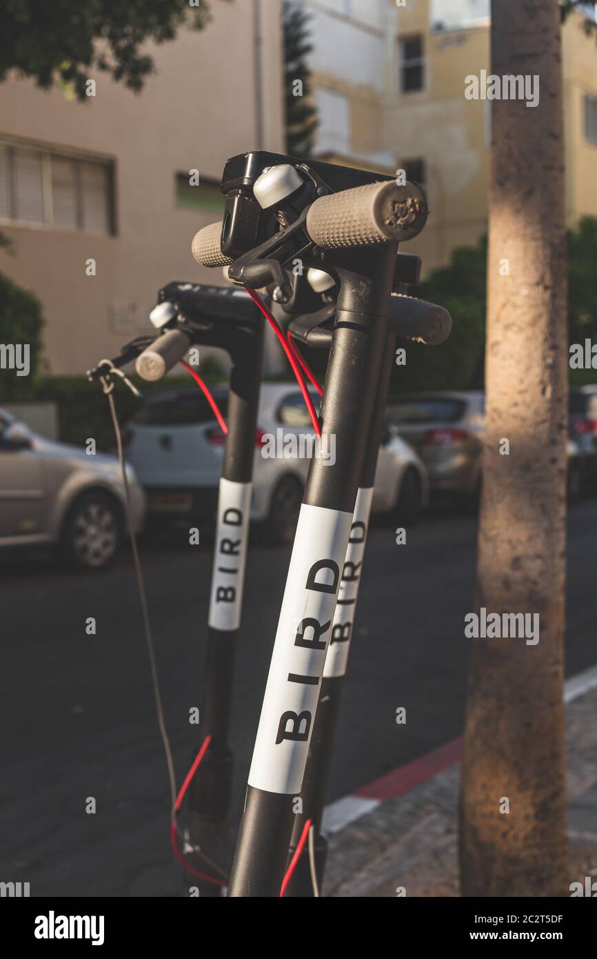 Tel Aviv/Israel-10/10/18: closeup of a logo on the Bird electric kick ...
