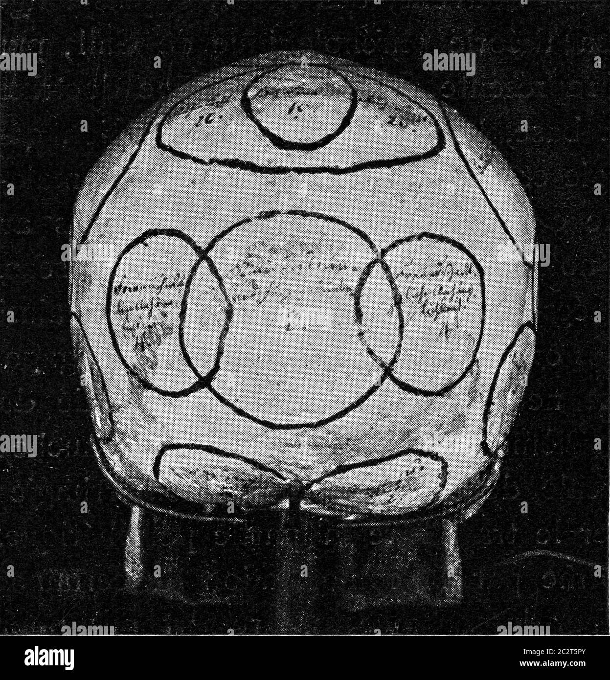 Skull with indication of Gall organs seen from side and back, vintage ...