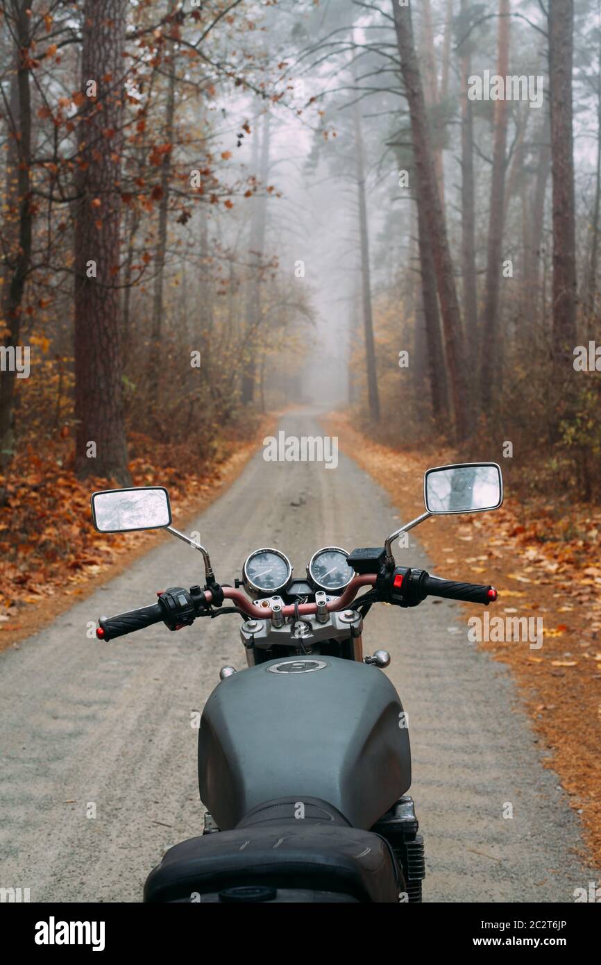 Motorcycle in a foggy pine forest. Photos from the driver. Walk in the ...