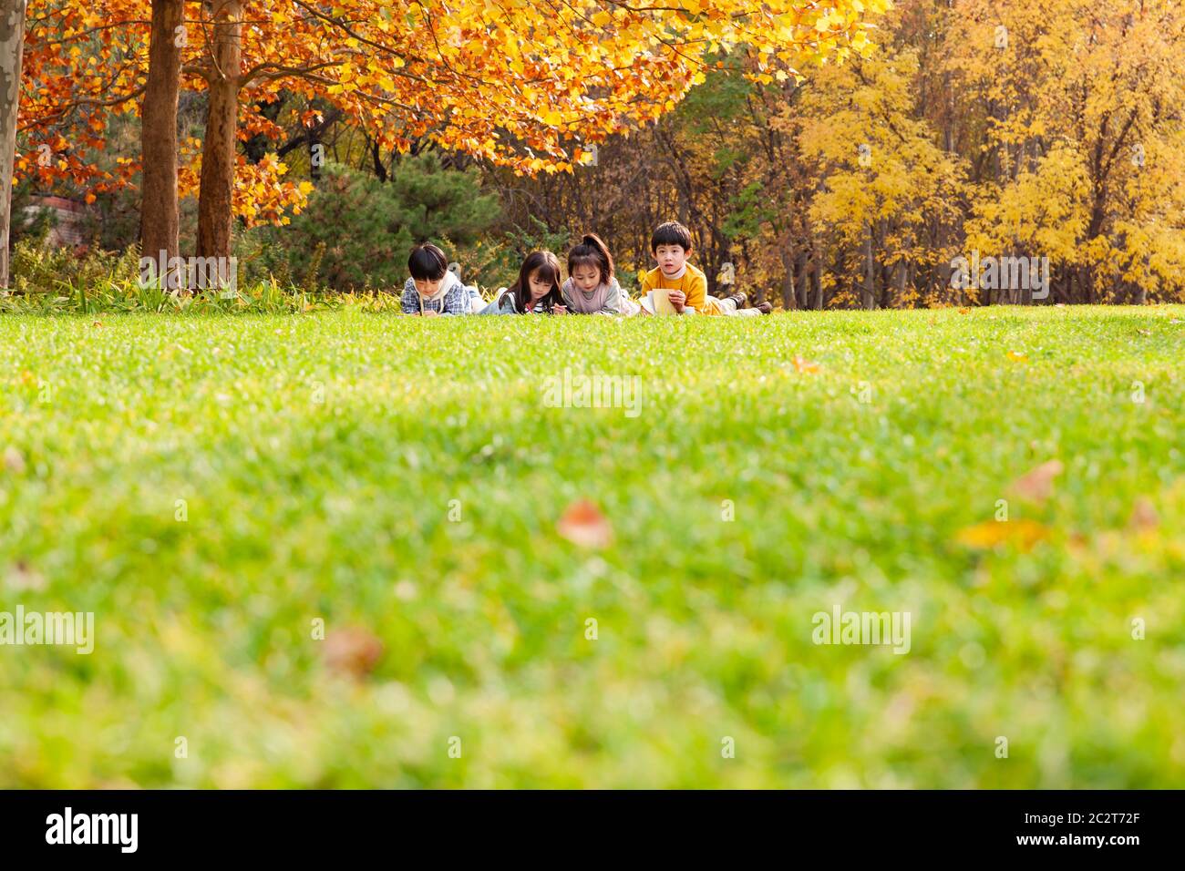 Lovely children playing on the grass Stock Photo - Alamy