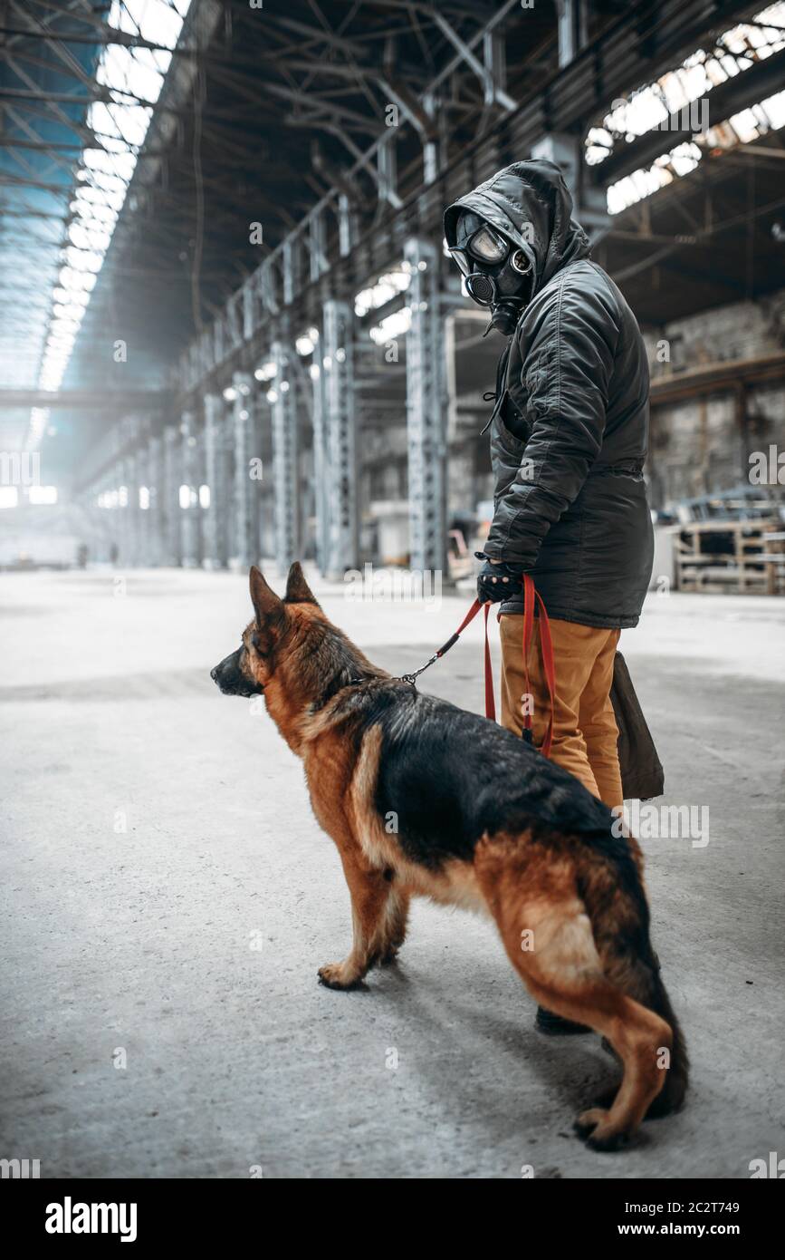 Stalker soldier in gas mask and dog in abandoned building, survivors ...