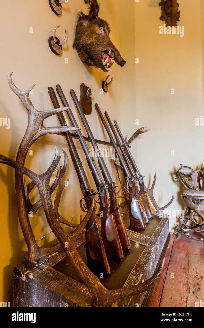 The hall of trophies, ancient armor storage, Europe. Medieval european ...