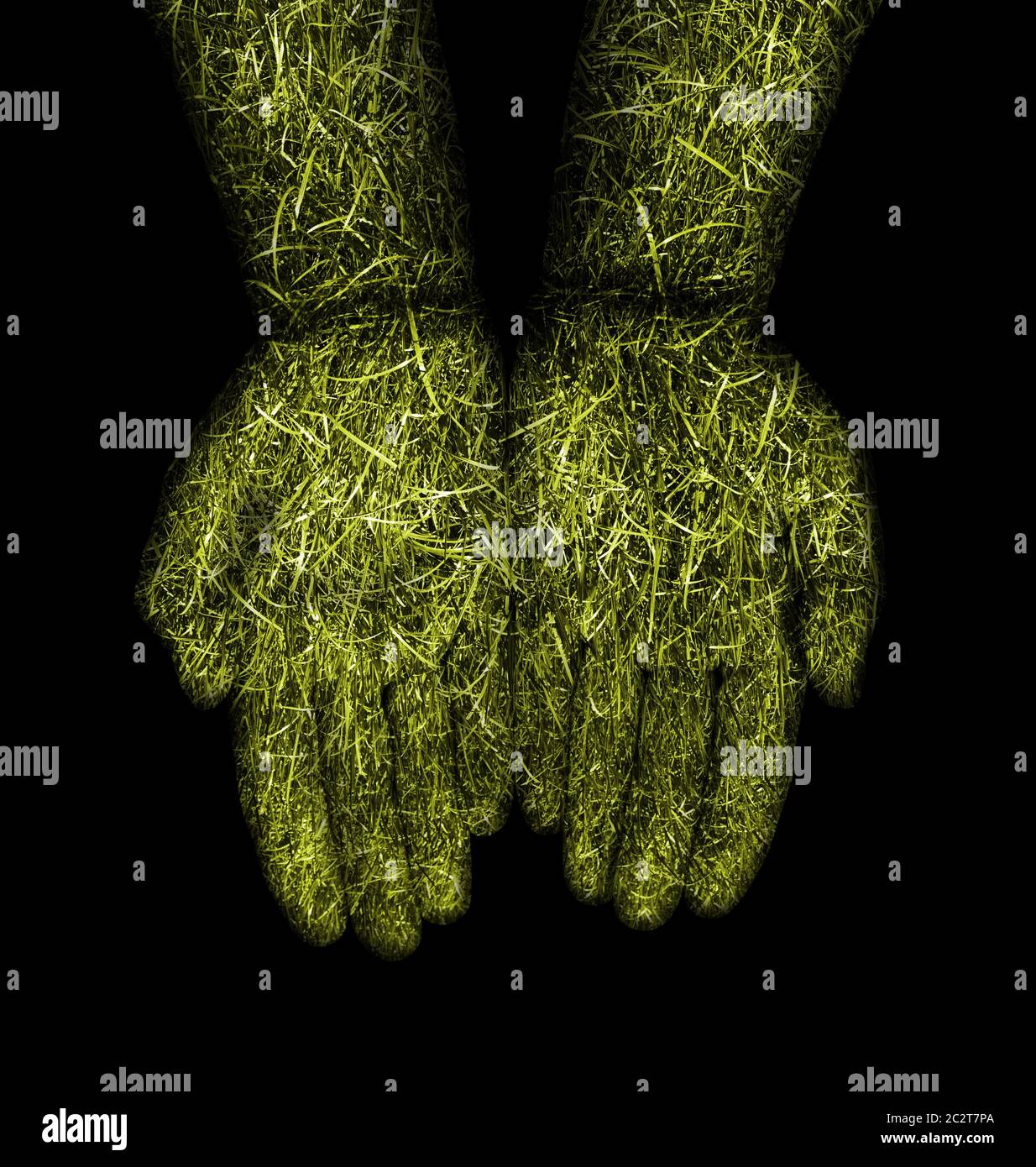 Opened hands with green grass covering Stock Photo - Alamy
