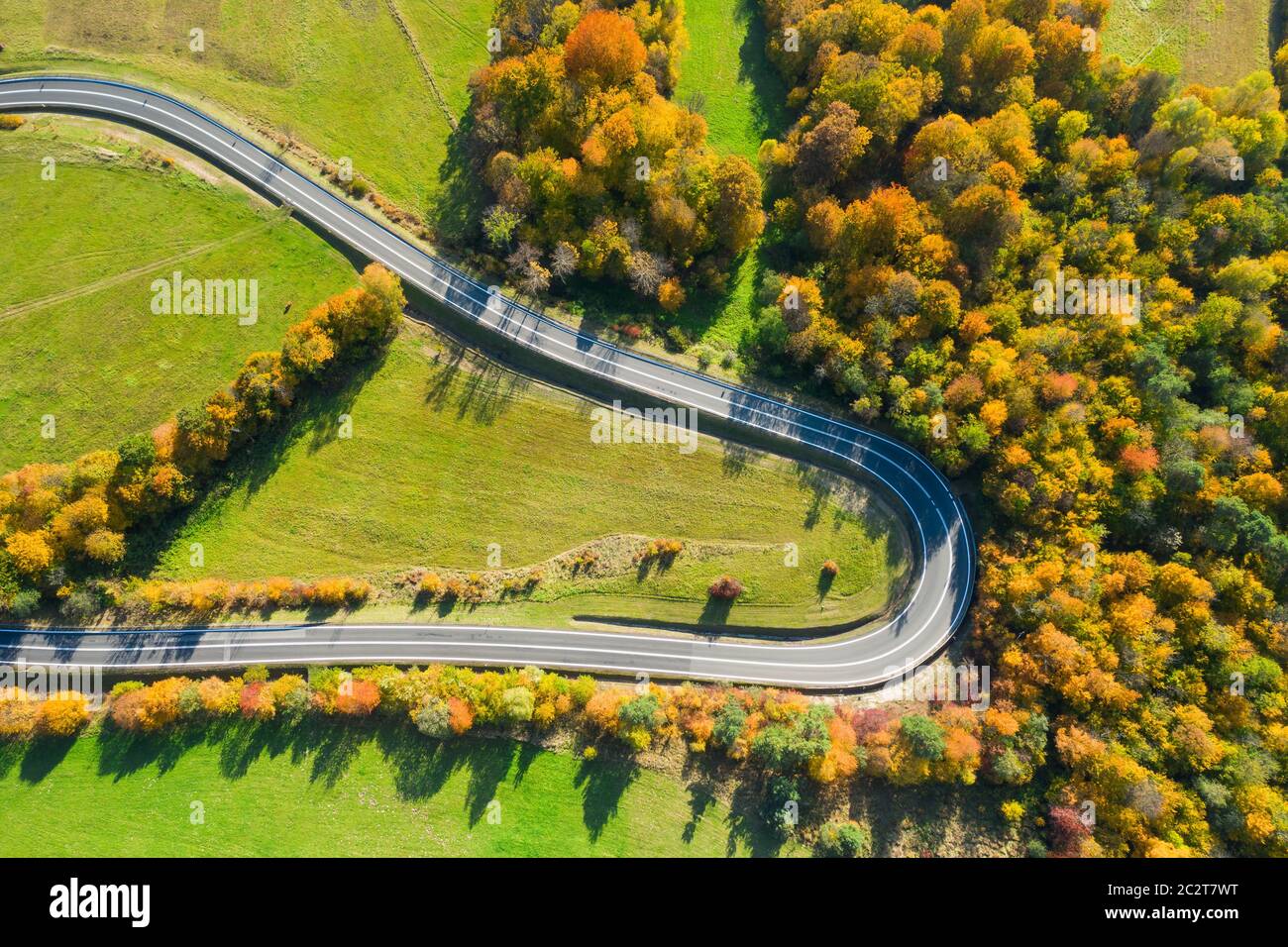 Drone view - Aerial view of autumn forest road. Top view of beautiful ...