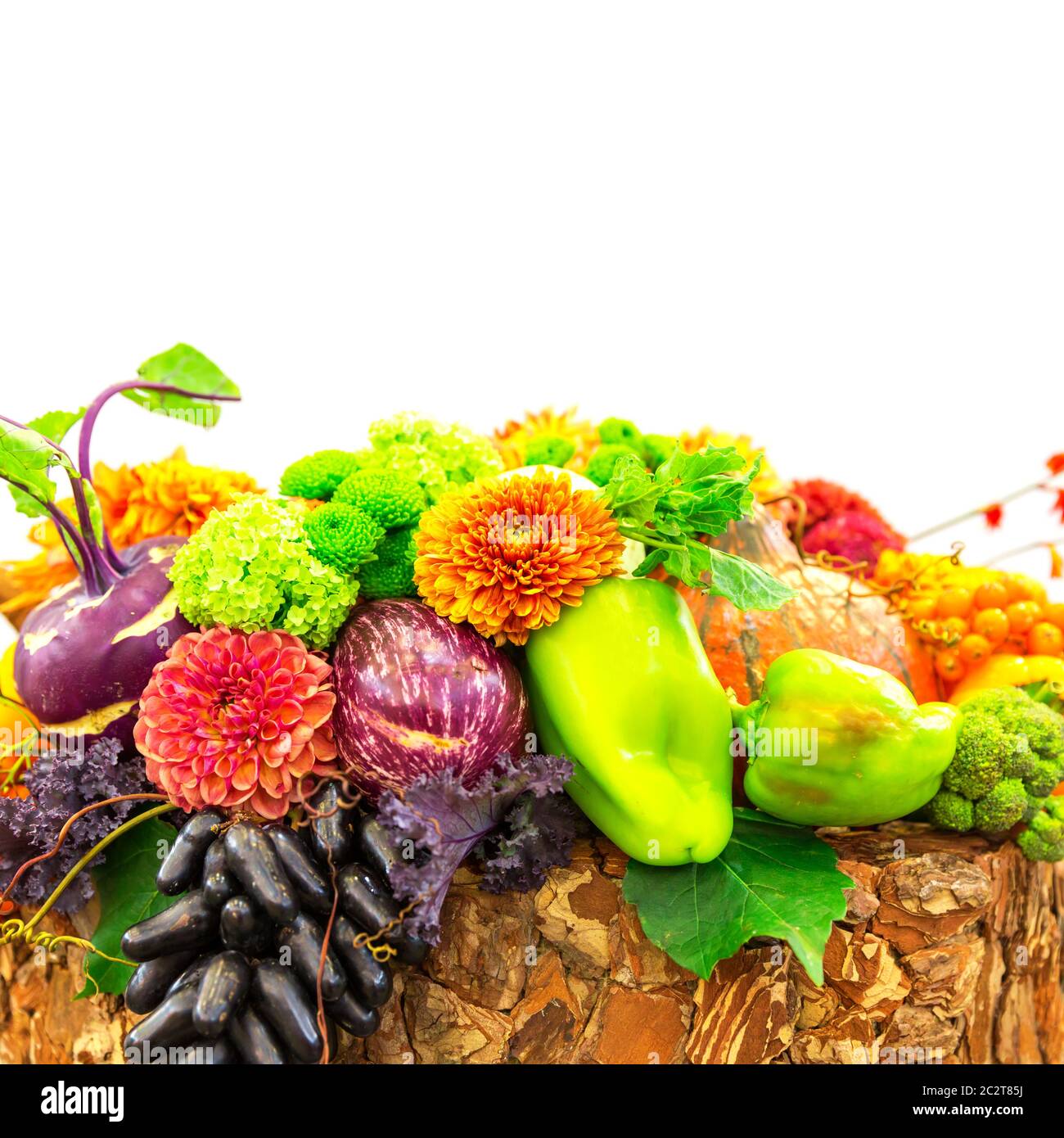 Vegetables and flowers closeup, fresh harvest. Vitamin food and floral ...