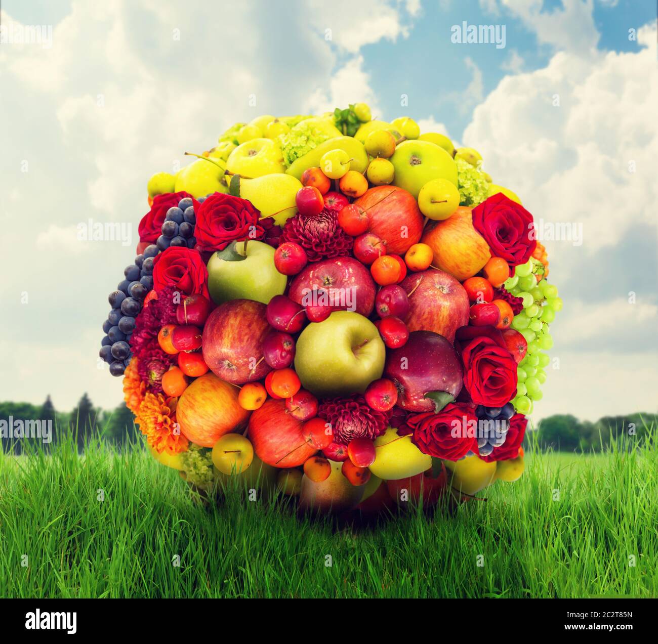 Fruit and flower ball, colorful fresh composition, green meadow on ...