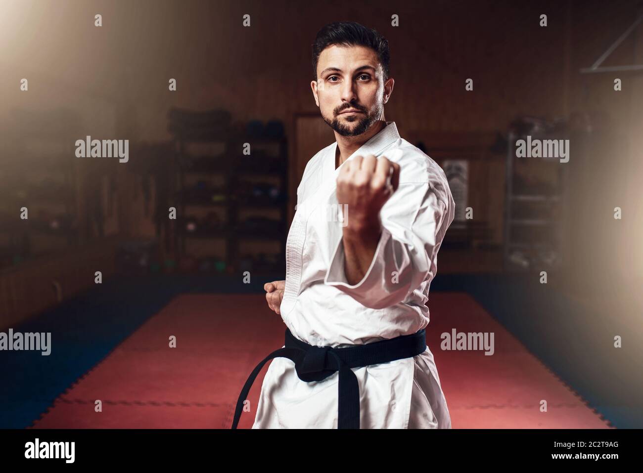 Kudo karate hi-res stock photography and images - Alamy