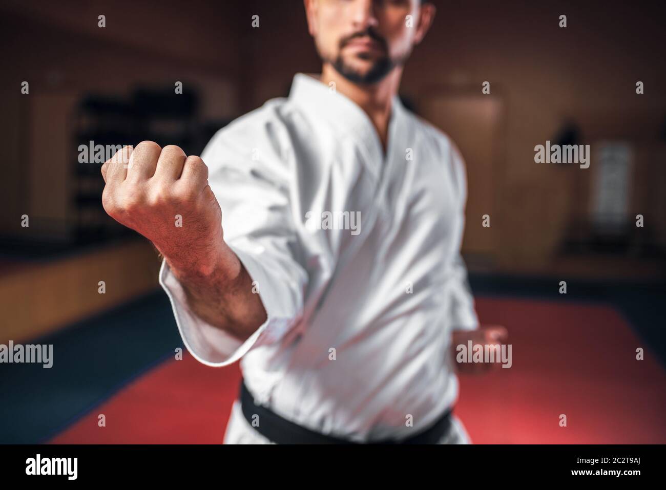 Kudo karate hi-res stock photography and images - Alamy
