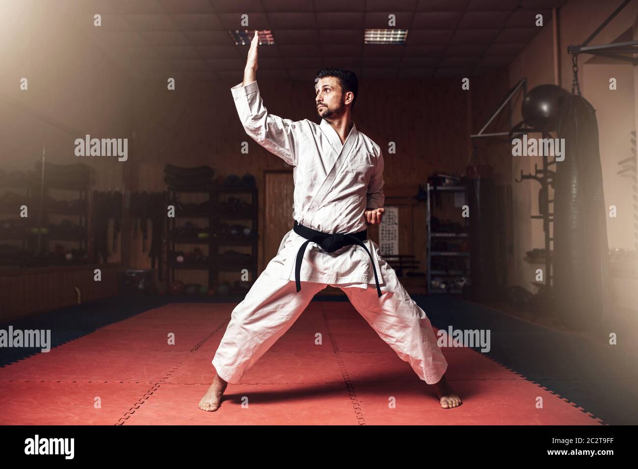 Kudo karate hi-res stock photography and images - Alamy