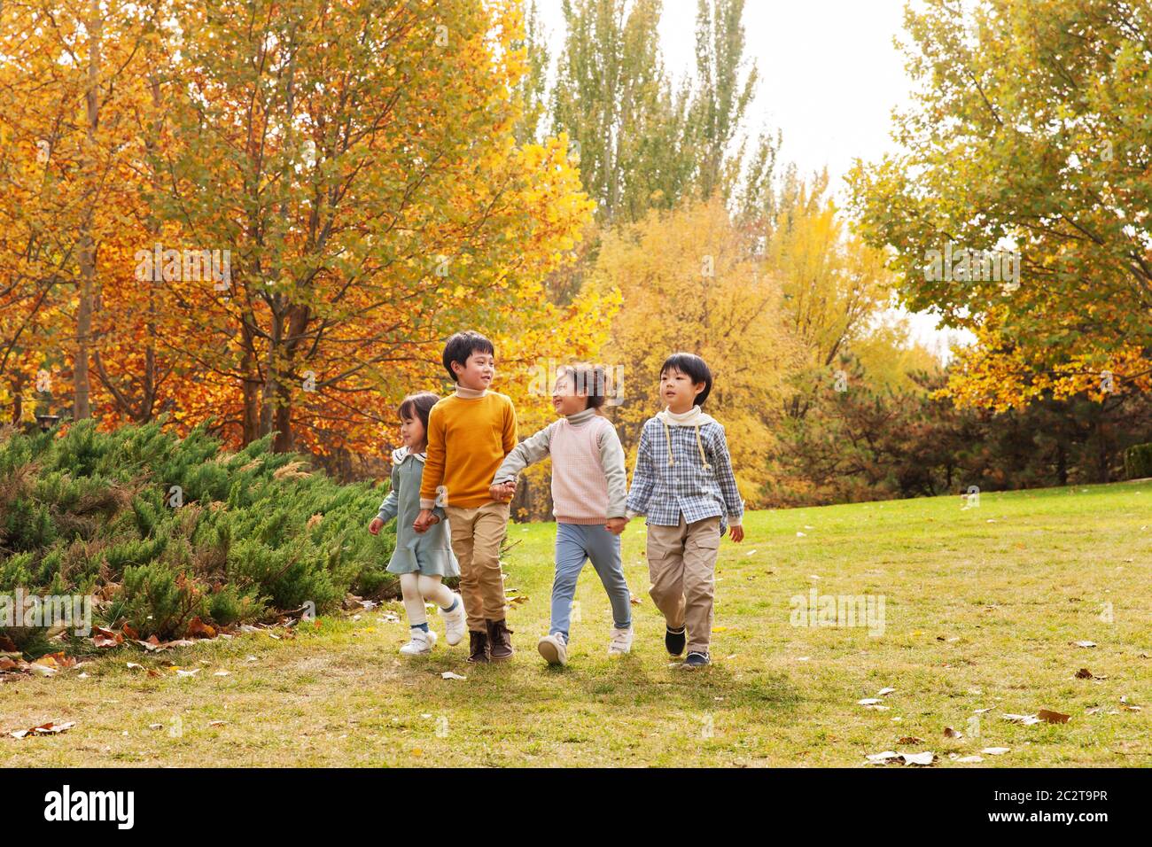 Happy children hand in hand walk in the park Stock Photo - Alamy