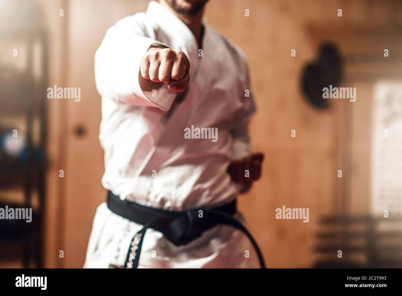 Martial arts karate master in white kimono and black belt on fight ...