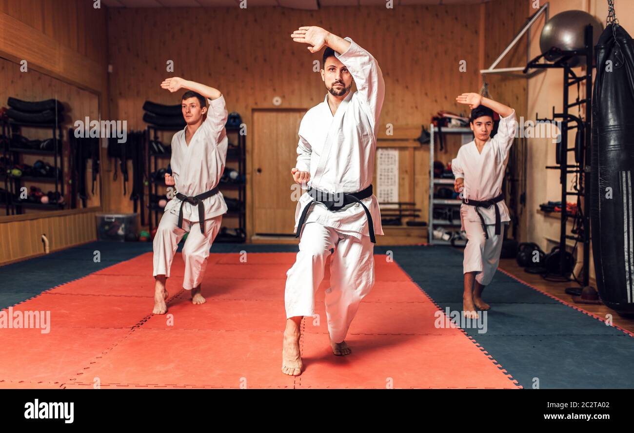 Martial arts karate master and his disciples in white uniform and black ...