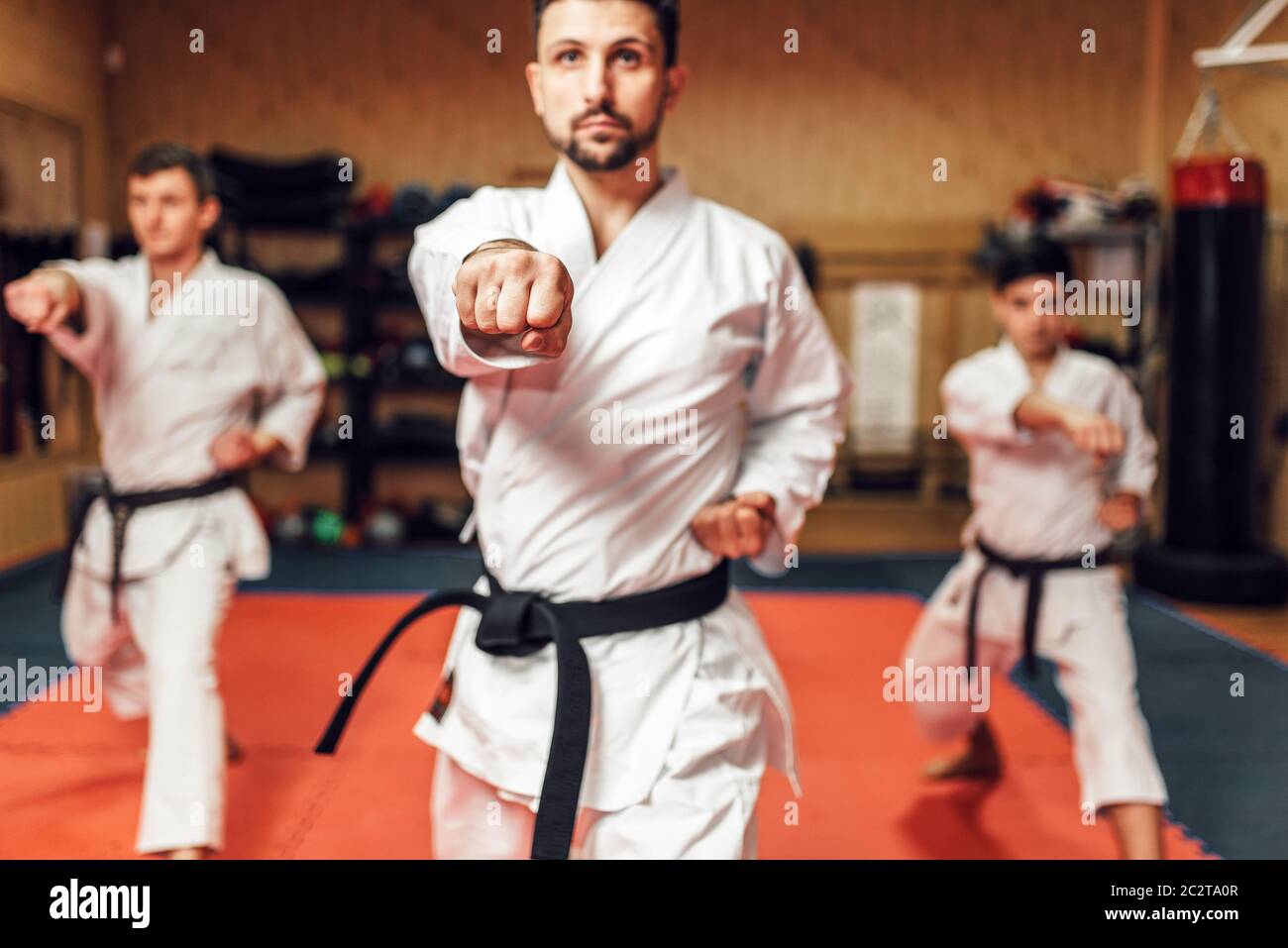 Martial arts karate fighters, master and his disciples in white kimono ...