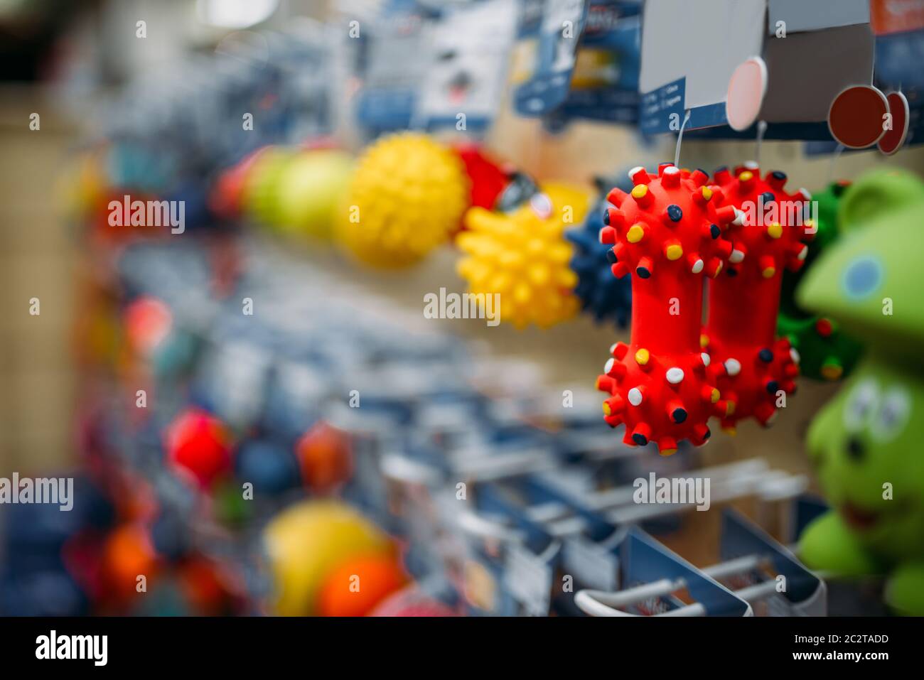 Pet shop interior, shelves with accessories, closeup, store for ...