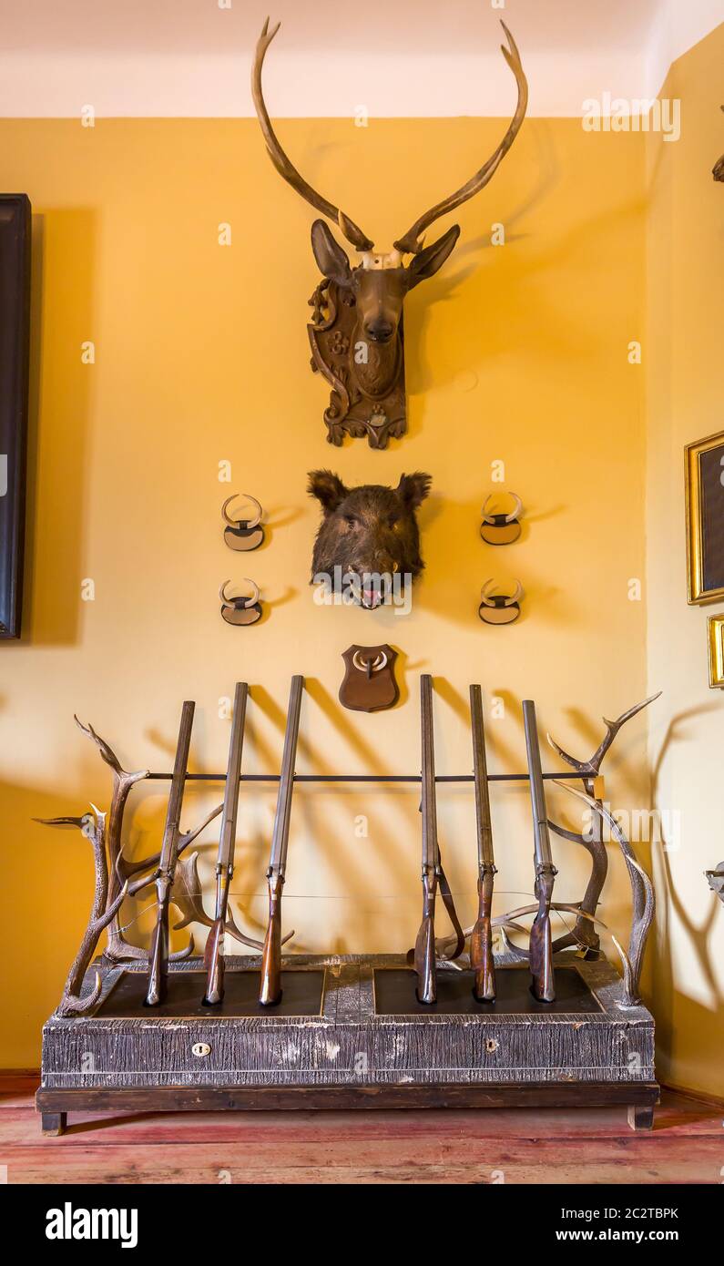 The hall of trophies, ancient armor storage, Europe. Medieval european ...