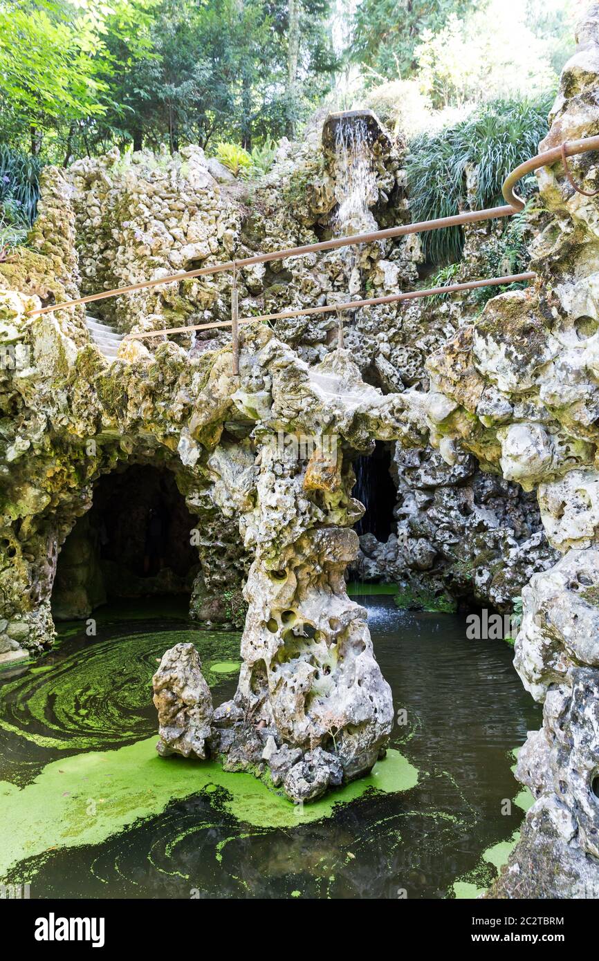 Wild swamp in caves with stones in the forest Stock Photo - Alamy