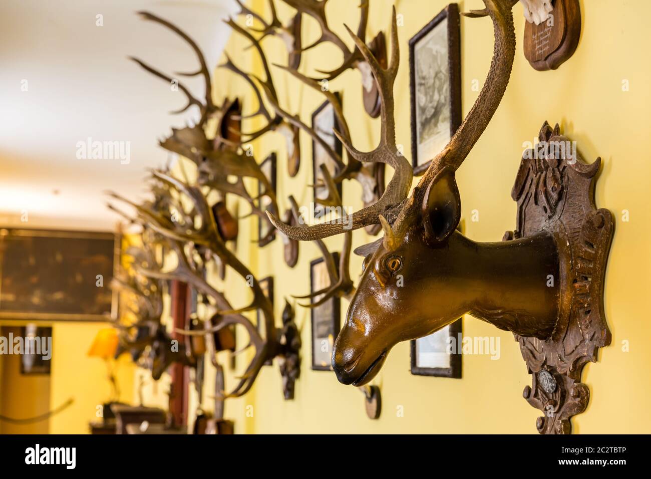 Ancient palace trophy room hi-res stock photography and images - Alamy