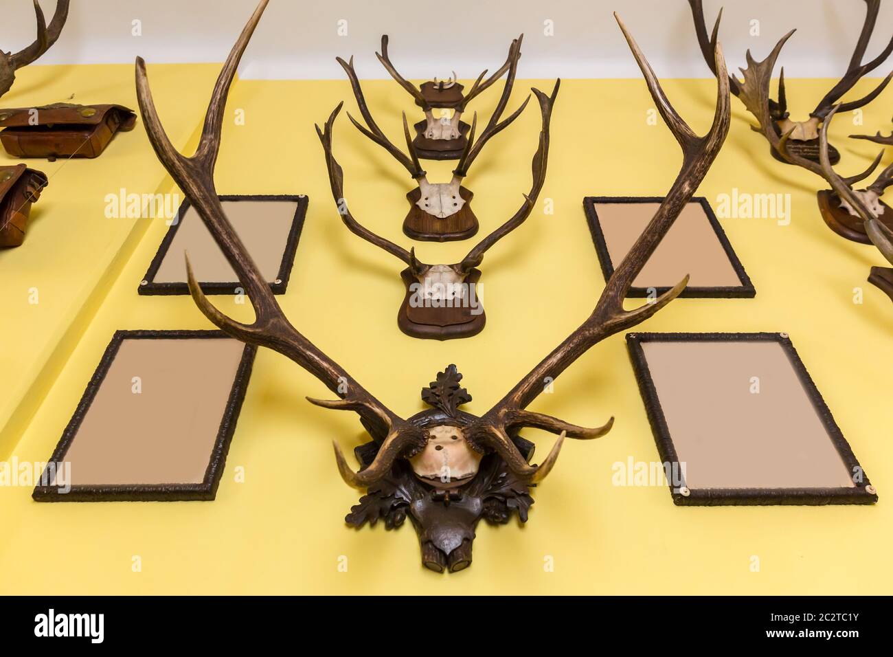 The hall of trophies, deer antlers, Europe. Medieval european treasure ...