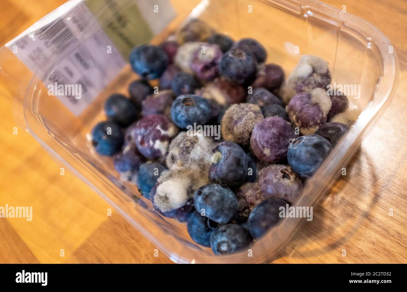 Fresh blueberries gone off hi-res stock photography and images - Alamy