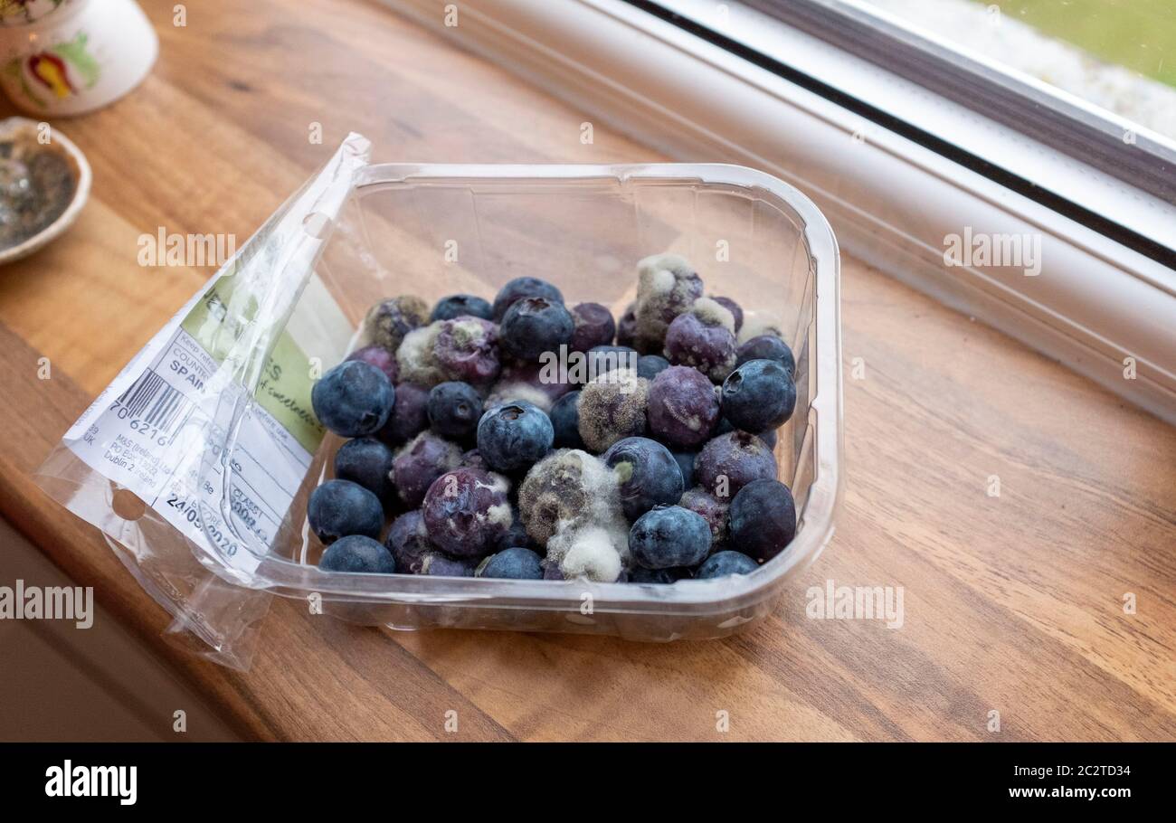 Inedible fruits hi-res stock photography and images - Alamy