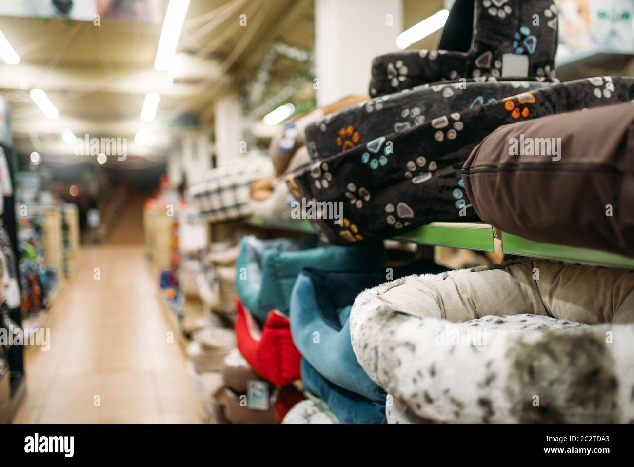 Inside pet shop, shelves with accessories, store for domestic animals ...