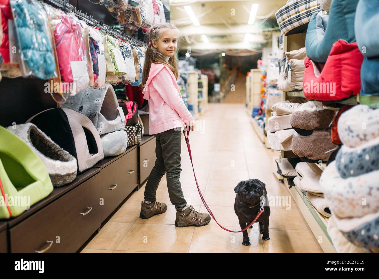 Little girl chooses house for puppy in pet shop. Kid plays in petshop ...
