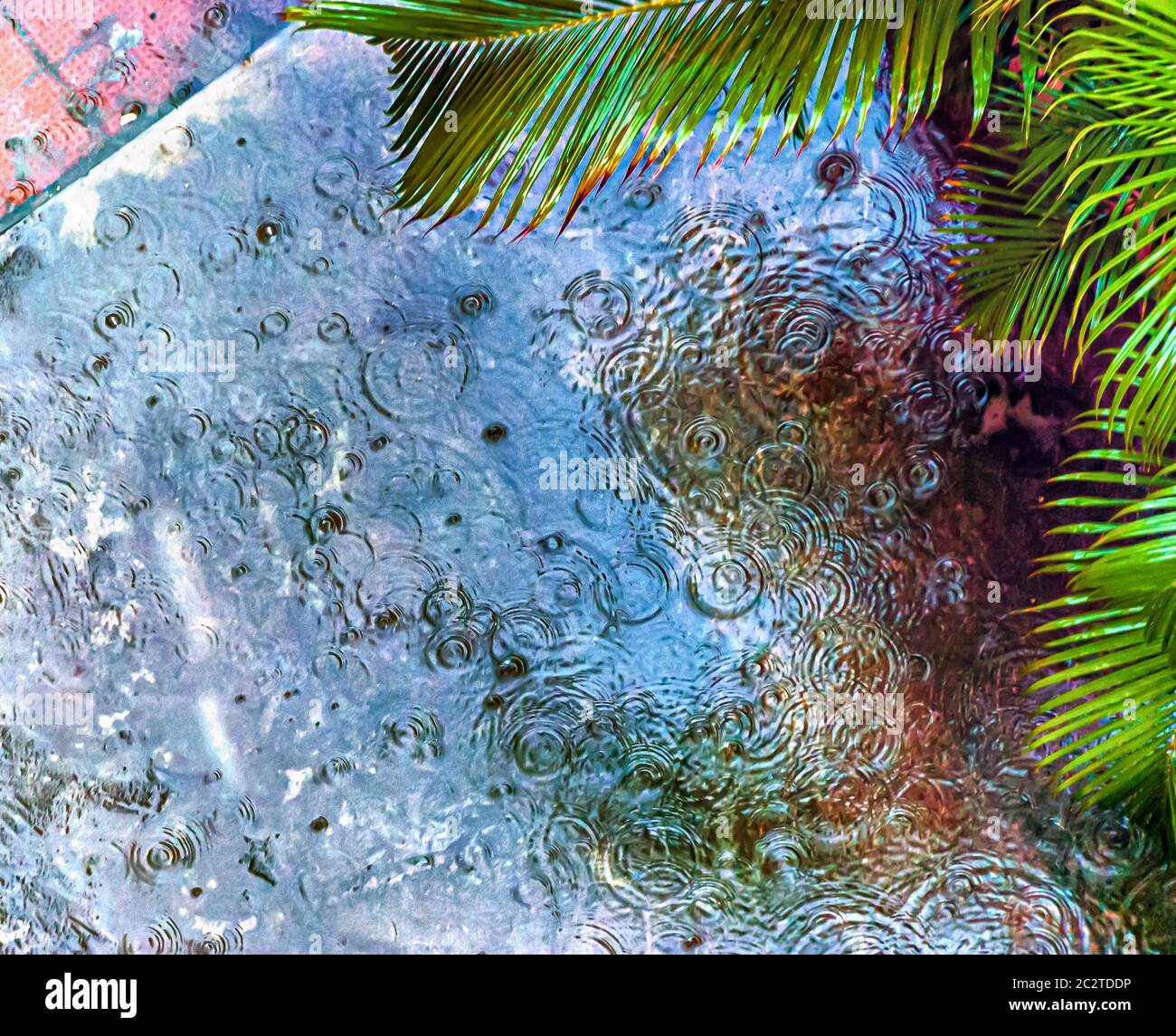 Tiny rain drops creating ripples in a puddle of water Stock Photo - Alamy