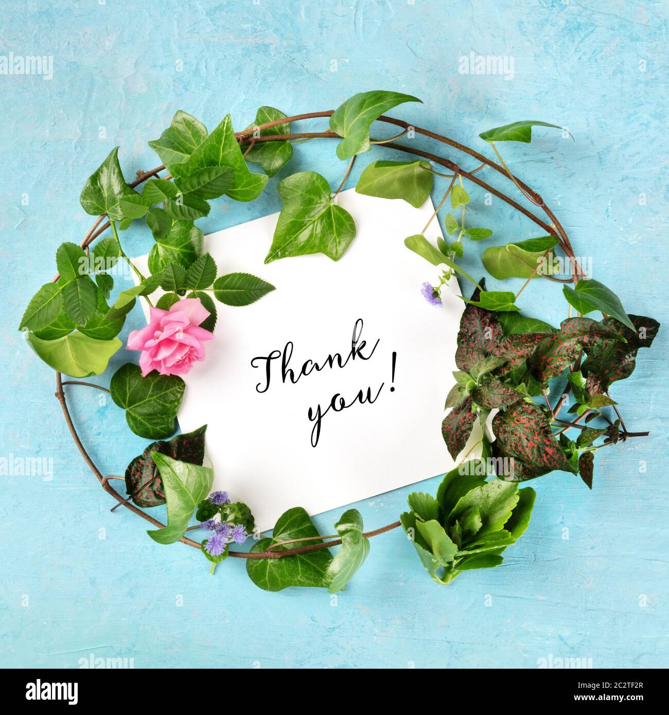 Thank you card with a wreath of ivy with vibrant green leaves and a ...
