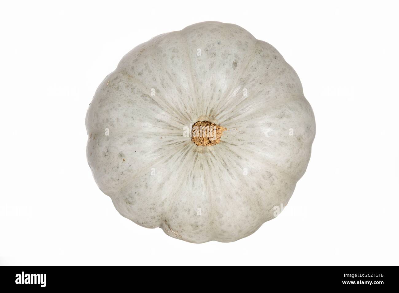 Whole Crown Prince pumpkin isolated on white background Stock Photo - Alamy