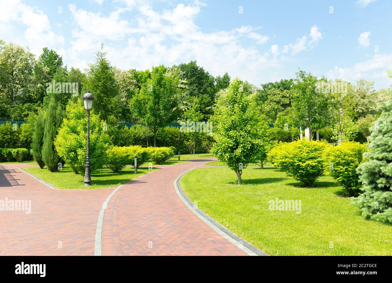 Long curve stone pavement alley in the green park Stock Photo - Alamy