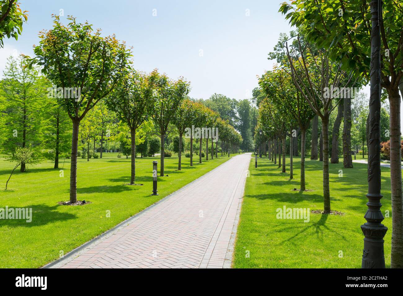 Long stone pavement alley in the green park Stock Photo - Alamy