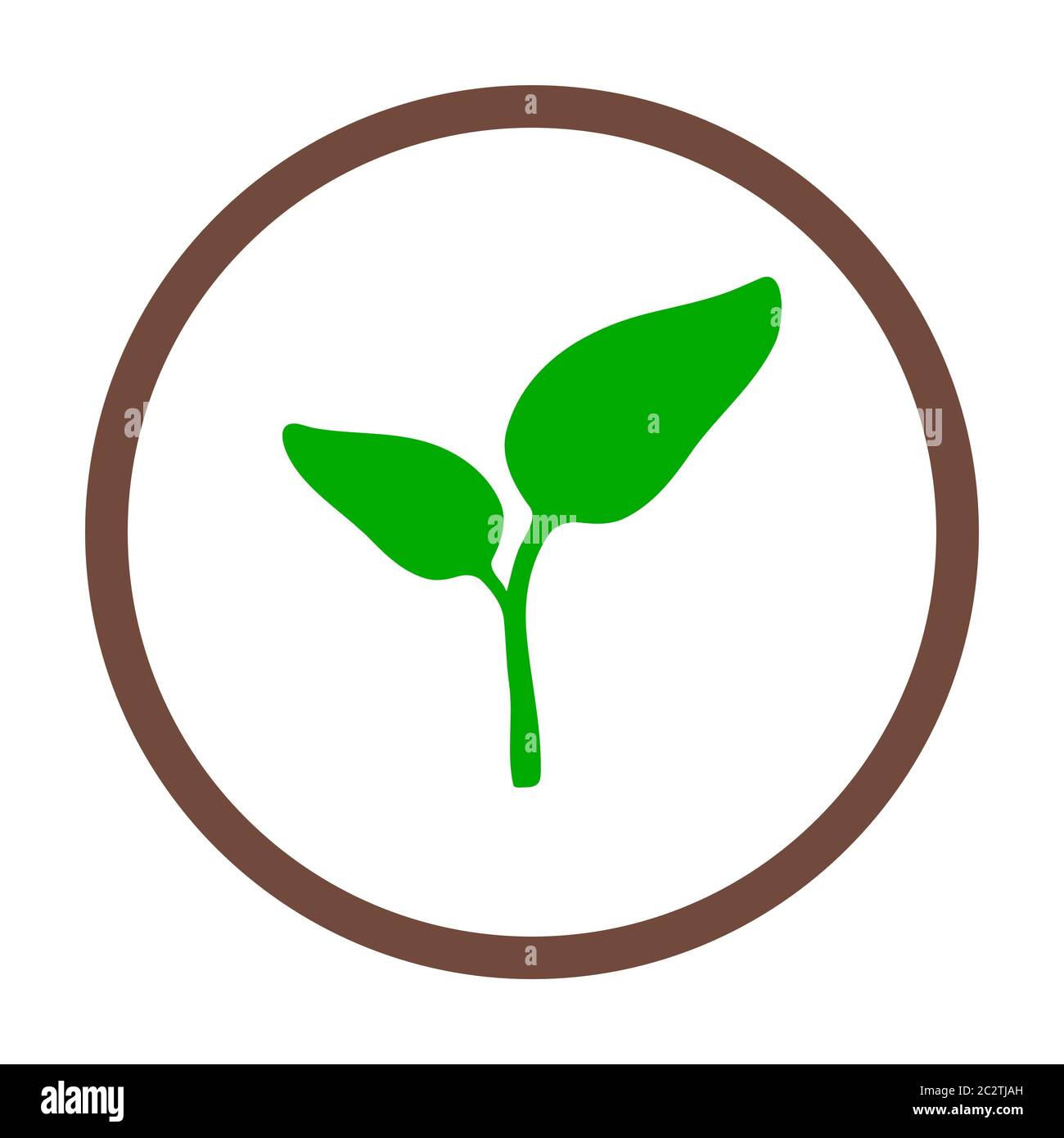 Plant and circle Stock Photo - Alamy