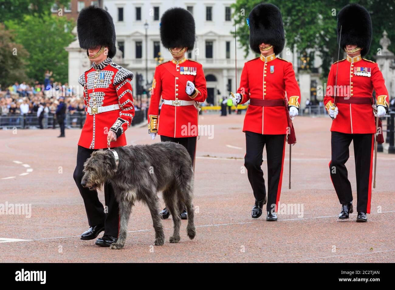 Irish guards mascot hi-res stock photography and images - Alamy