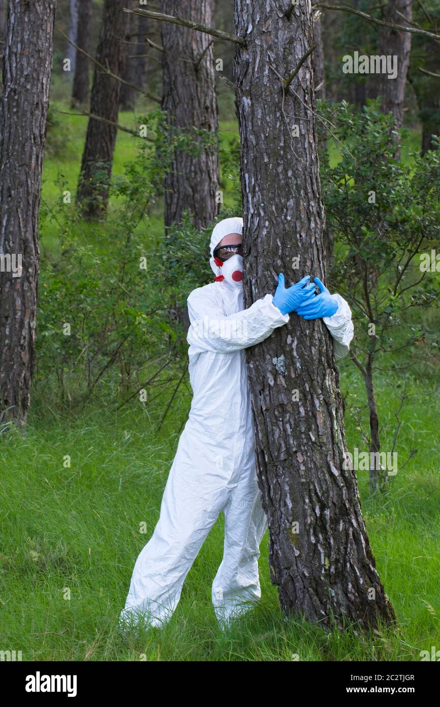 Suit in a tree hi-res stock photography and images - Alamy